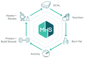 Our Programs | Metabolic Health Solutions